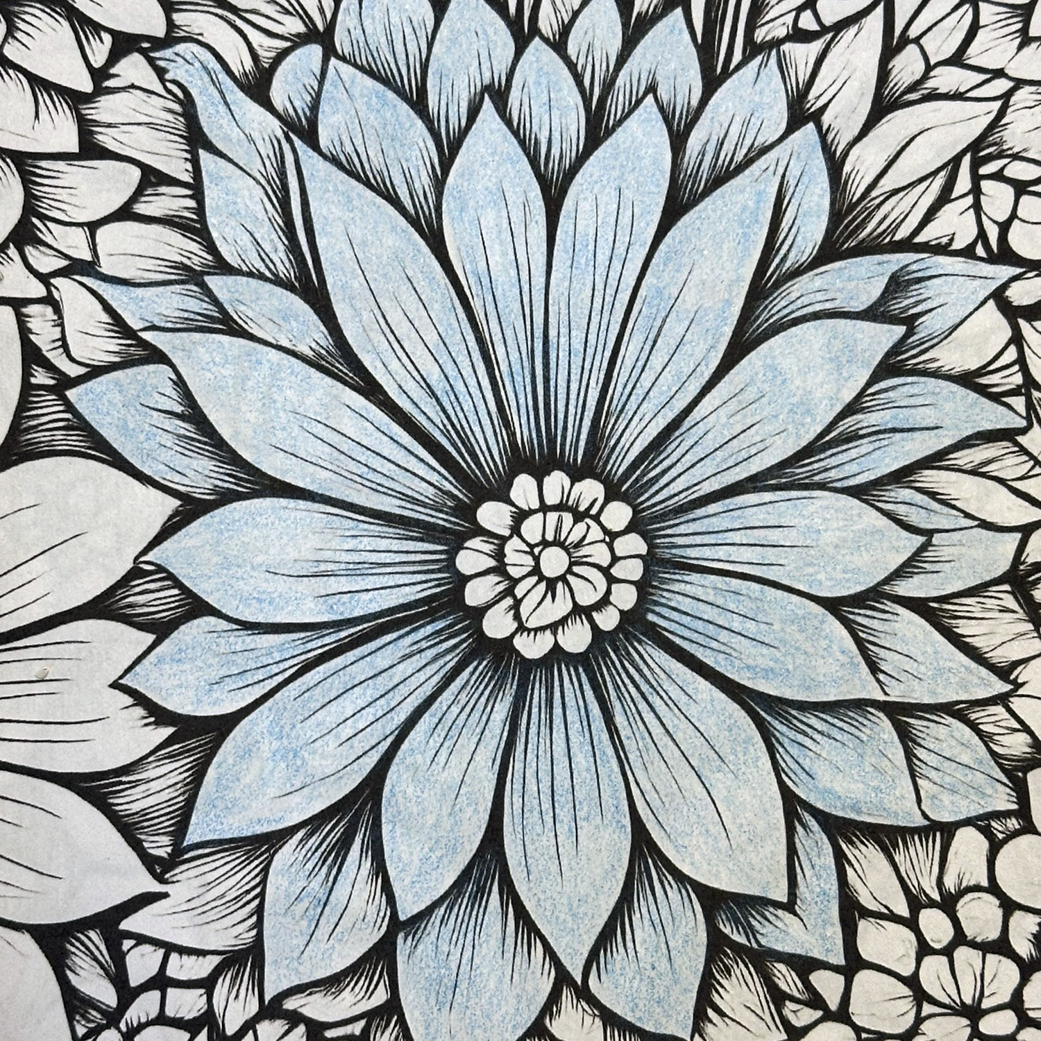 The Best Techniques for Coloring With Colored Pencils for Realistic Art ...